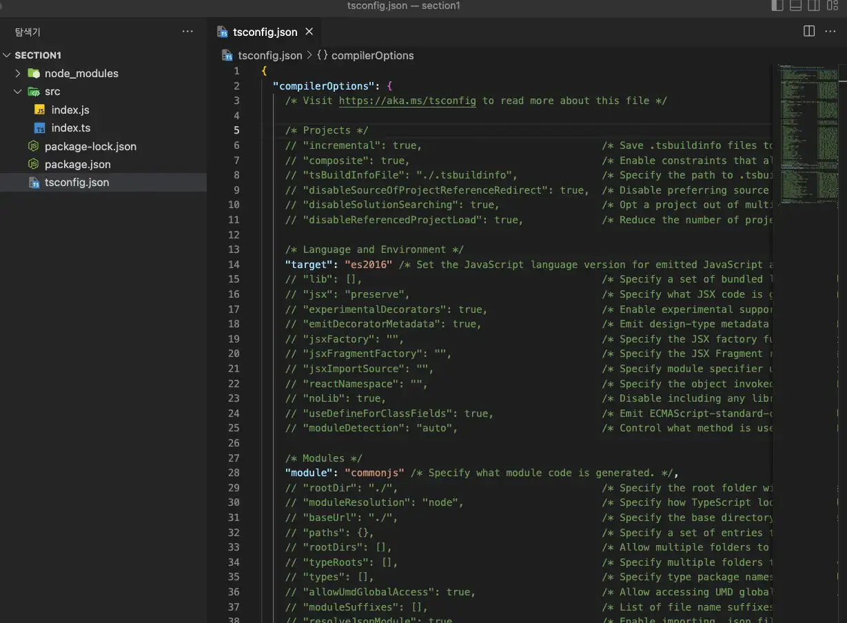타입스크립트 컴파일러 옵션 설정하기 with tsconfig.json - Winterlood